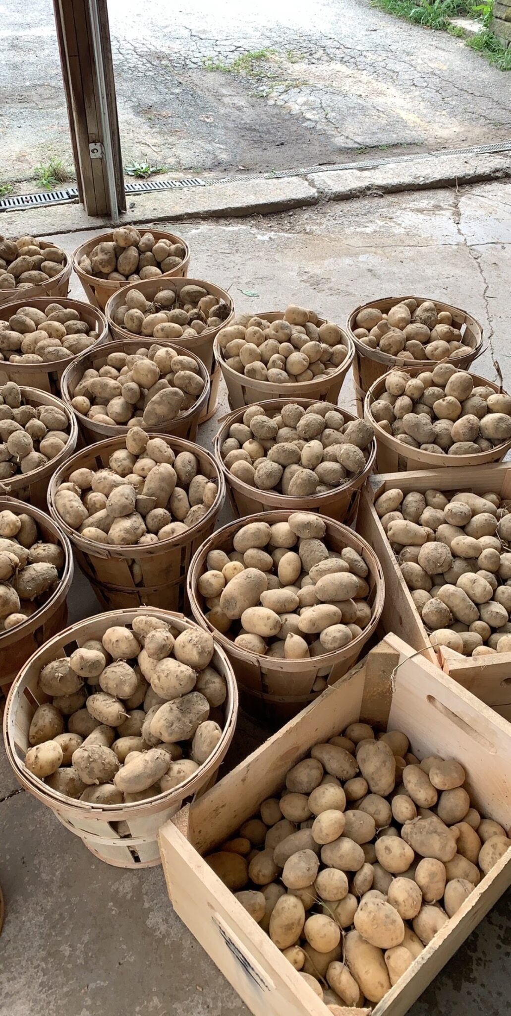 Farm Stand - CN Smith Farm