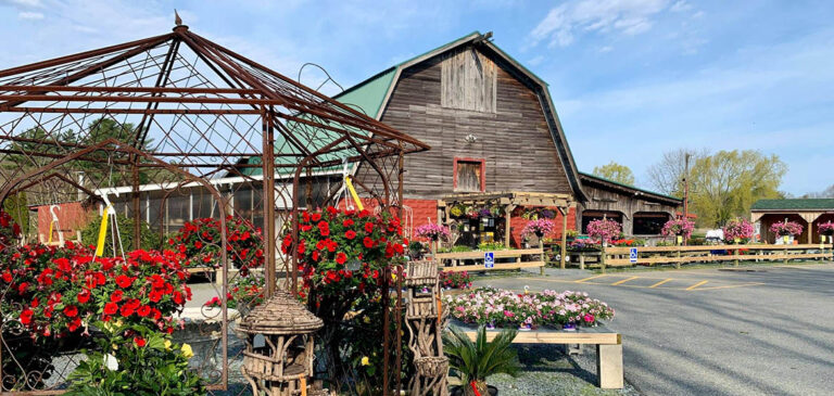 Home - CN Smith Farm